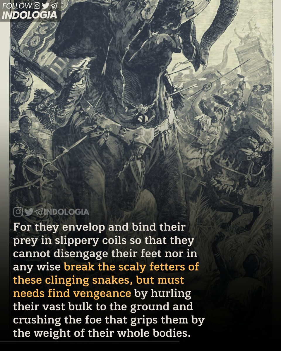 The ancient Greeks had a special affinity for the Hindus #Indologia ...