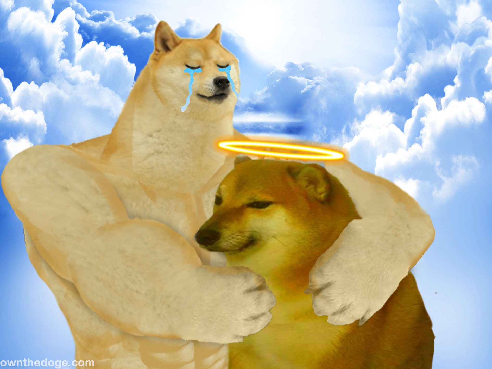 Doge Liebes Meme Cheems Doge Meme Decal Sticker Etsy Canada