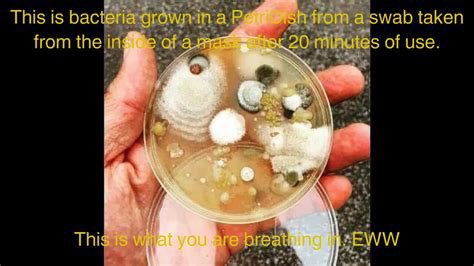 Thread by @17ThankQ on Thread Reader App – Thread Reader App