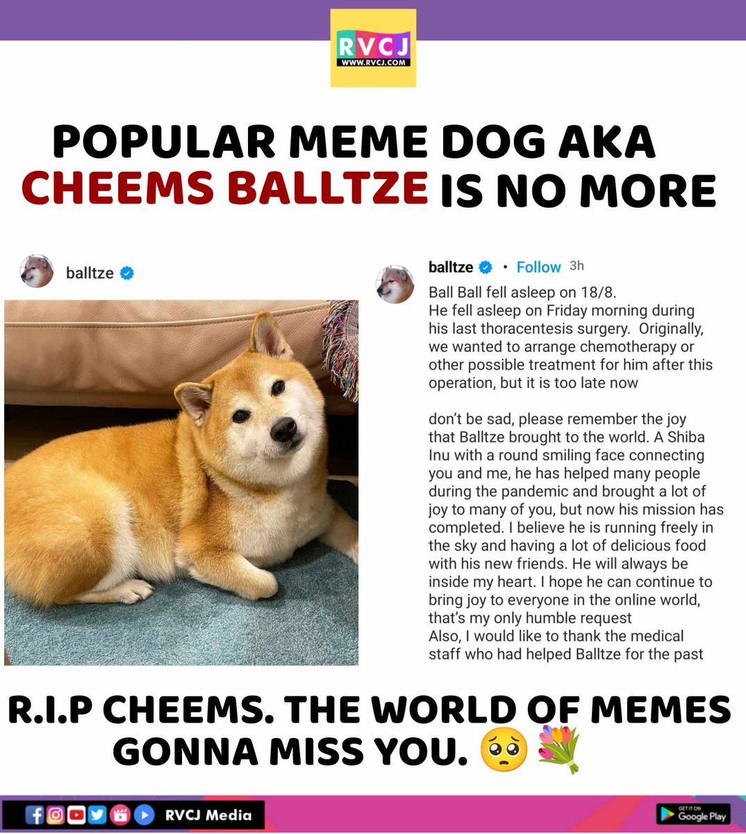Last Chemo Treatment Memes 26 Funny New Year Memes To Celebrate 2024