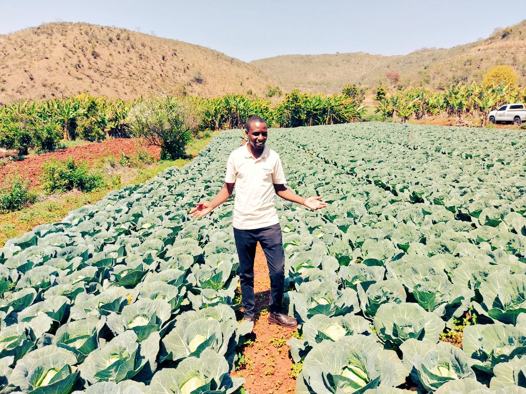 Thread by @startfarmingnow on Thread Reader App – Thread Reader App