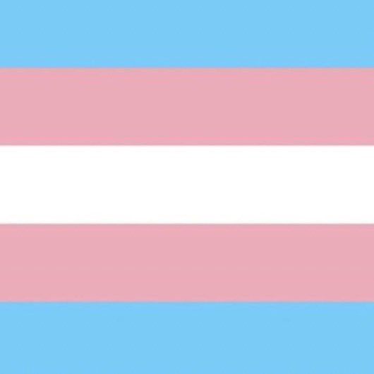 clyde donovan from 'south park' is trans!! https://t.co/sAgE2DA3ha