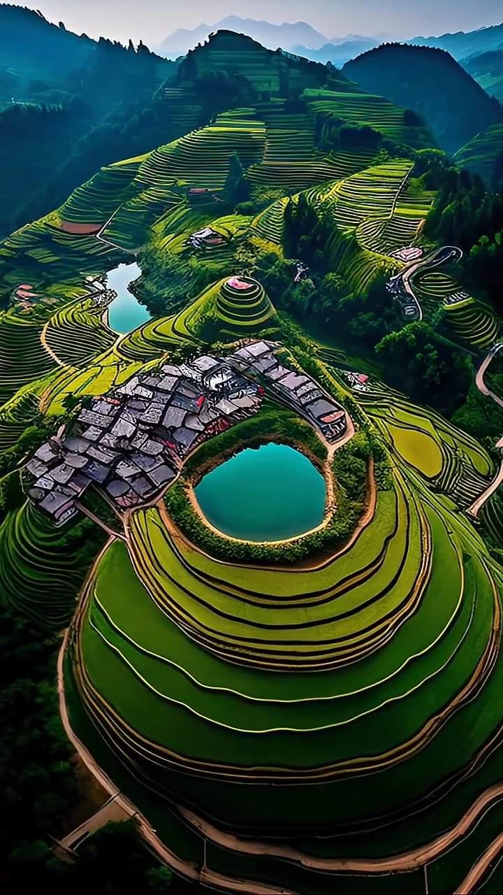 Terrace Farming