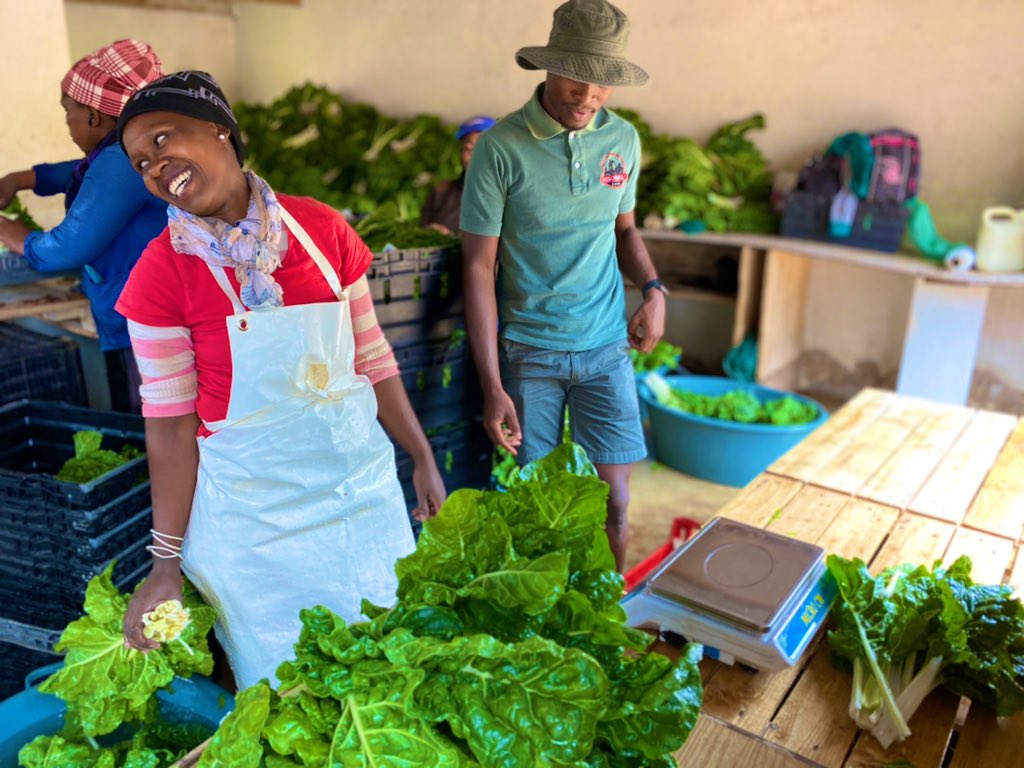 🌾 Steps to Calculate Farm Production Costs and Profit: 1. Identify ...