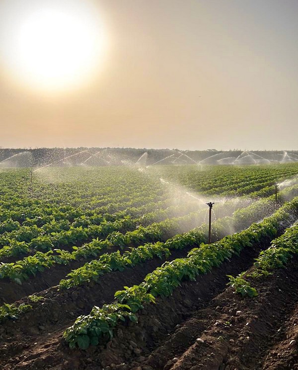 🌾 Steps to Calculate Farm Production Costs and Profit: 1. Identify ...