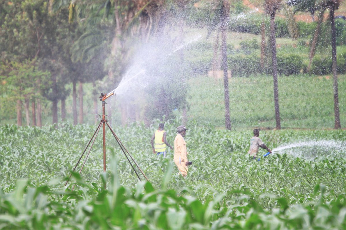 🌾 Steps to Calculate Farm Production Costs and Profit: 1. Identify ...