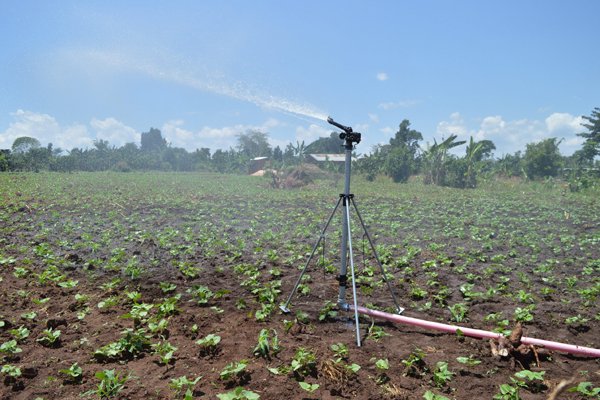 🌾 Steps to Calculate Farm Production Costs and Profit: 1. Identify ...