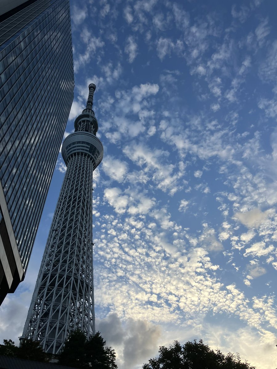 橙葵(@touki_1513) - Twilog