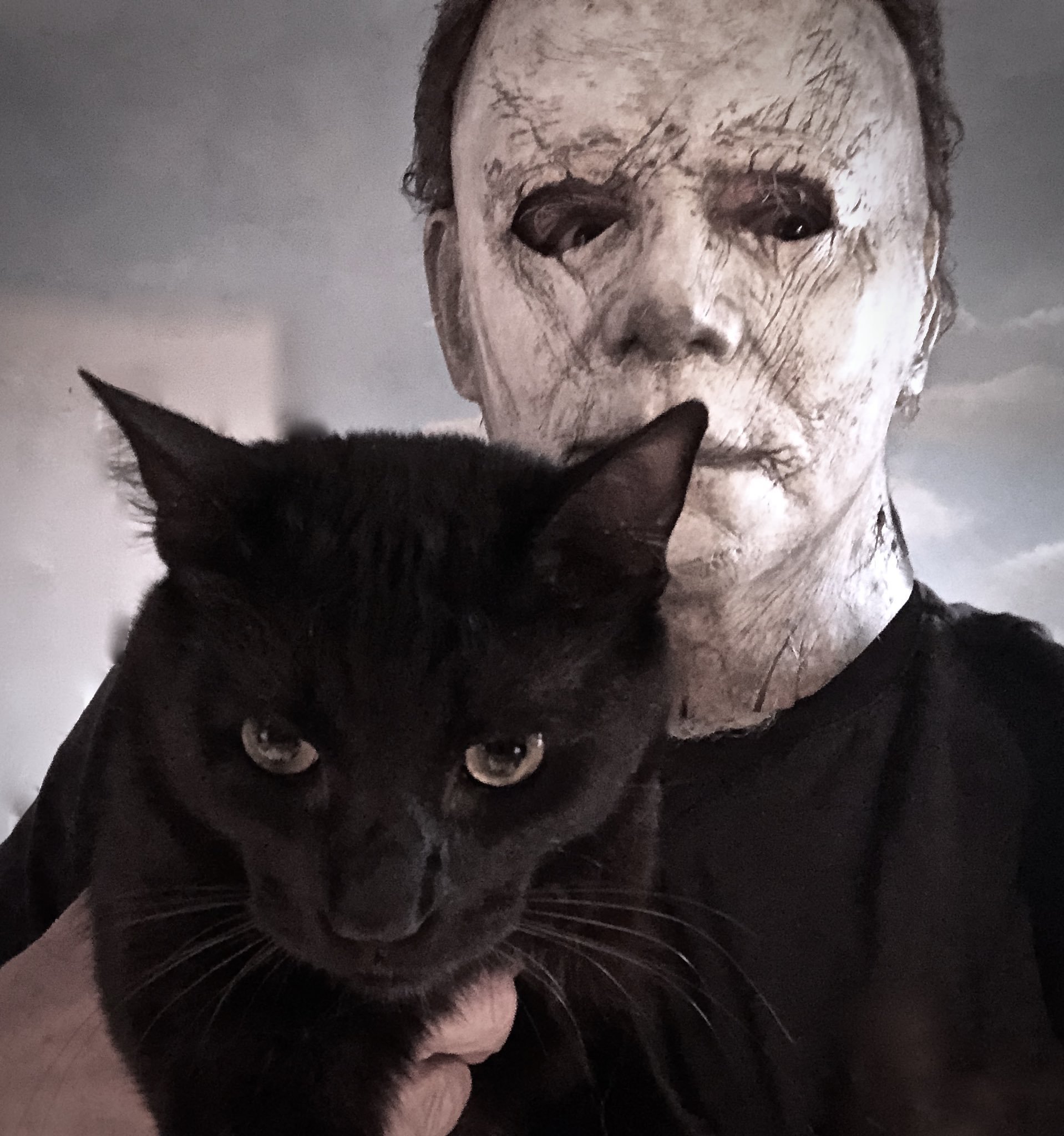 Maquillaje De Gato Con Sombrero De Mike Myers Compra Michael Myers