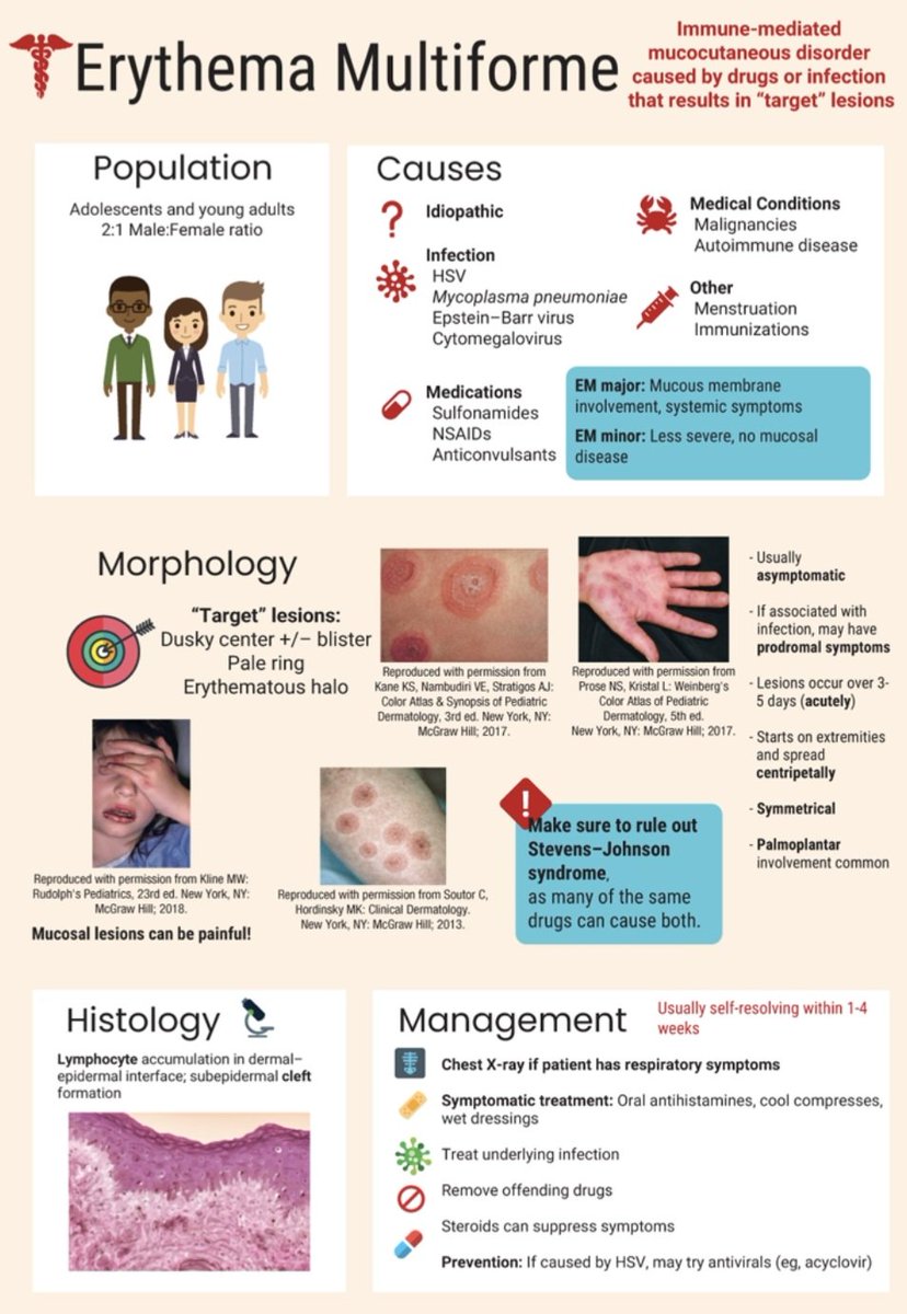 Erythema Multiforme Major Vs Minor