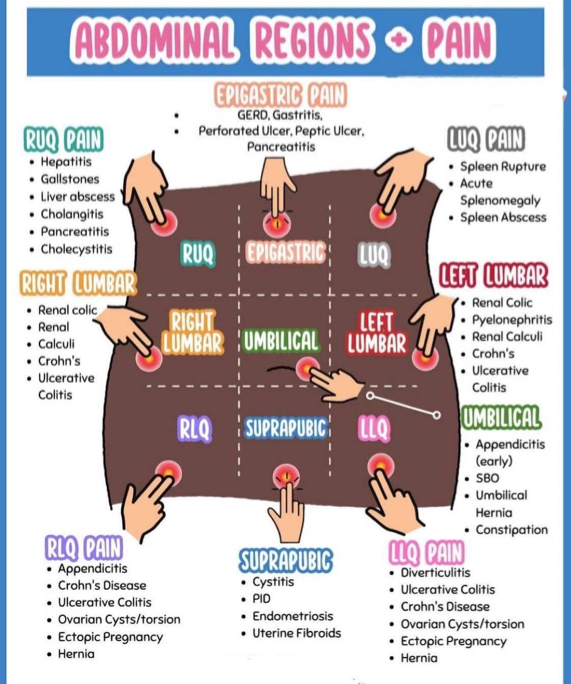 Quadrants And Regions Of Abdomen Wikipedia, 56% OFF Quadrants And Regions Of Abdomen Wikipedia, 56% OFF
