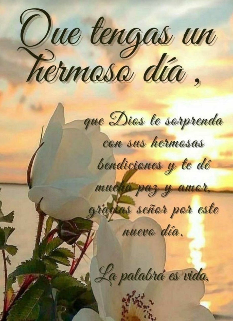 Que Tengas Un Lindo Dia 301 Frases Bonitas De Buenos Días Para