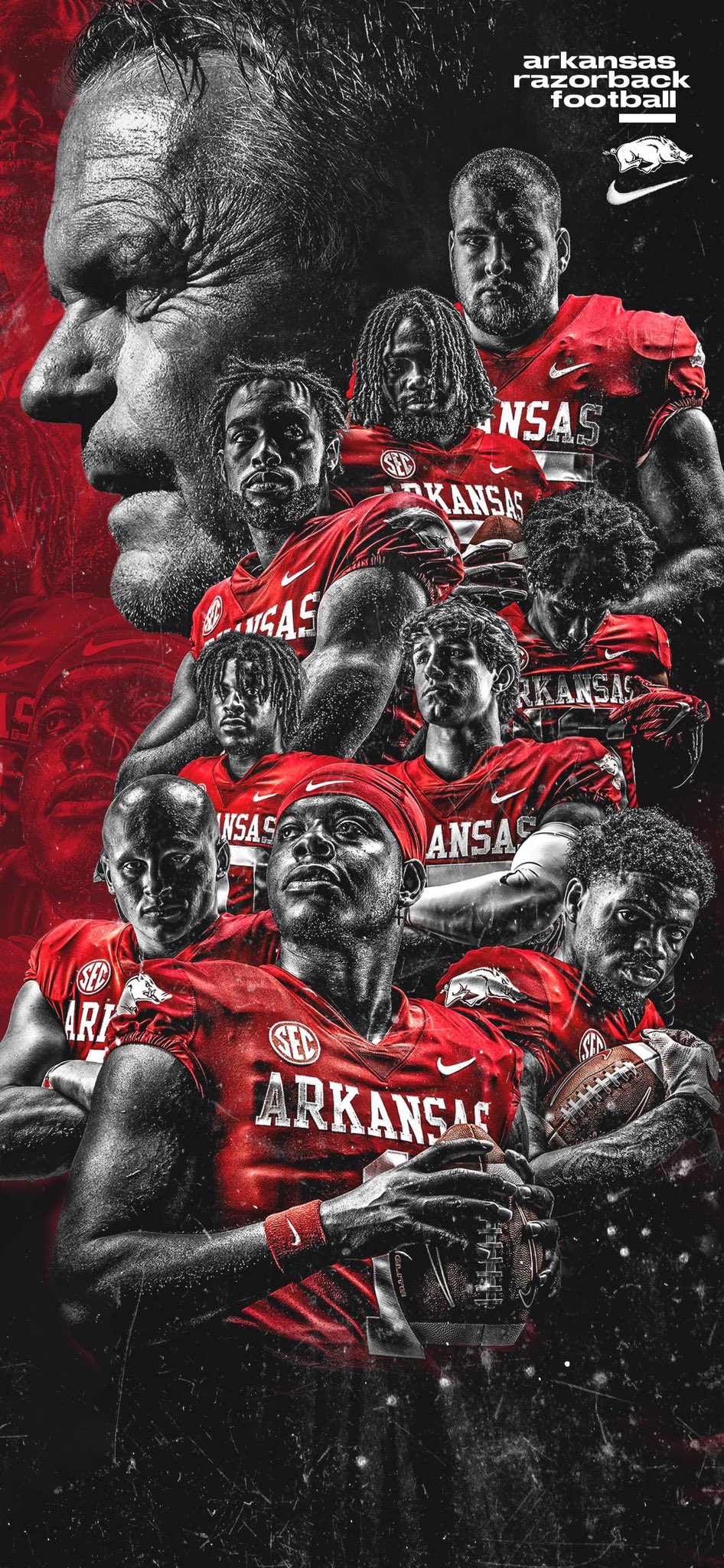 Razorback Wallpaper And
