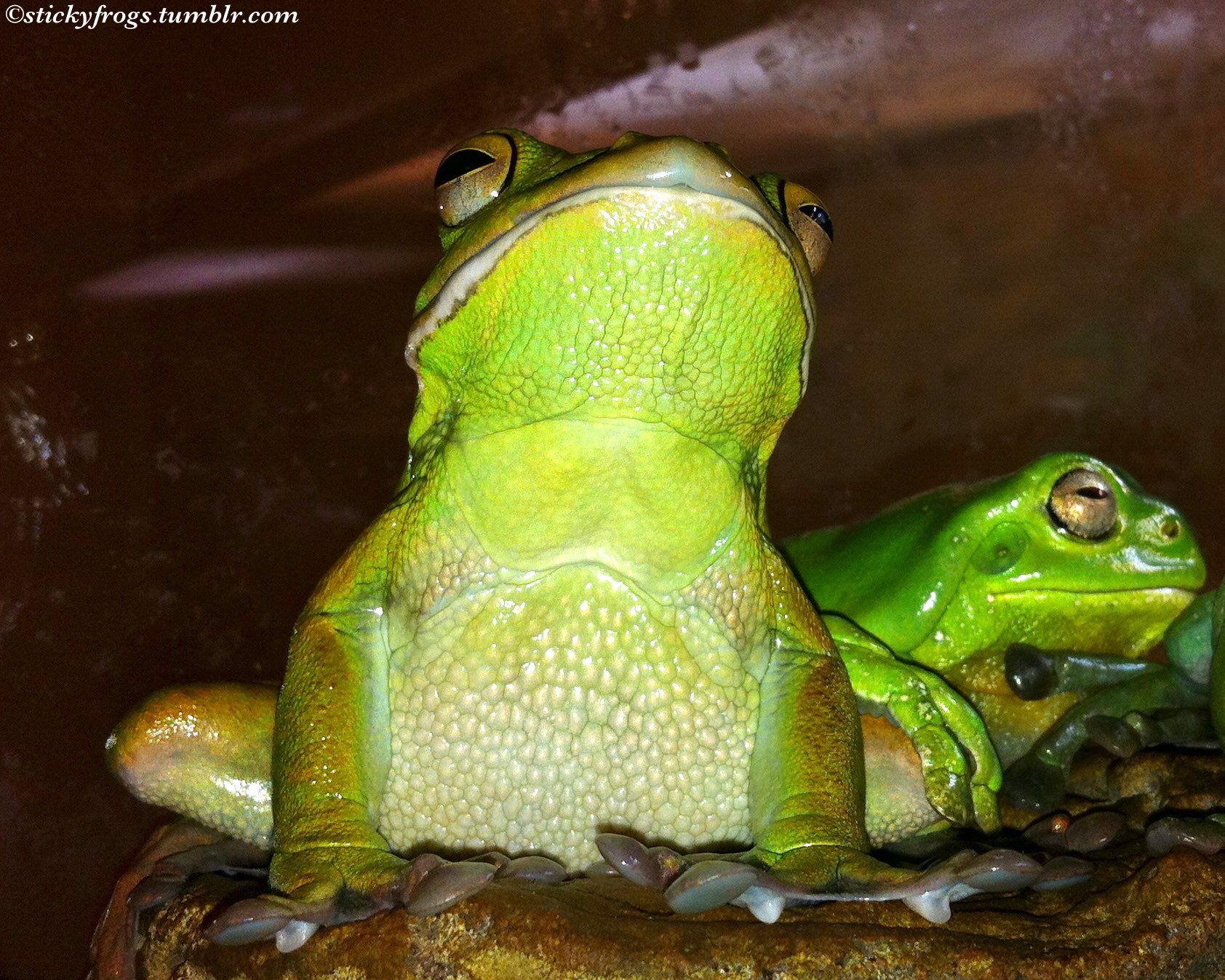 Green Lipstick Tumblr