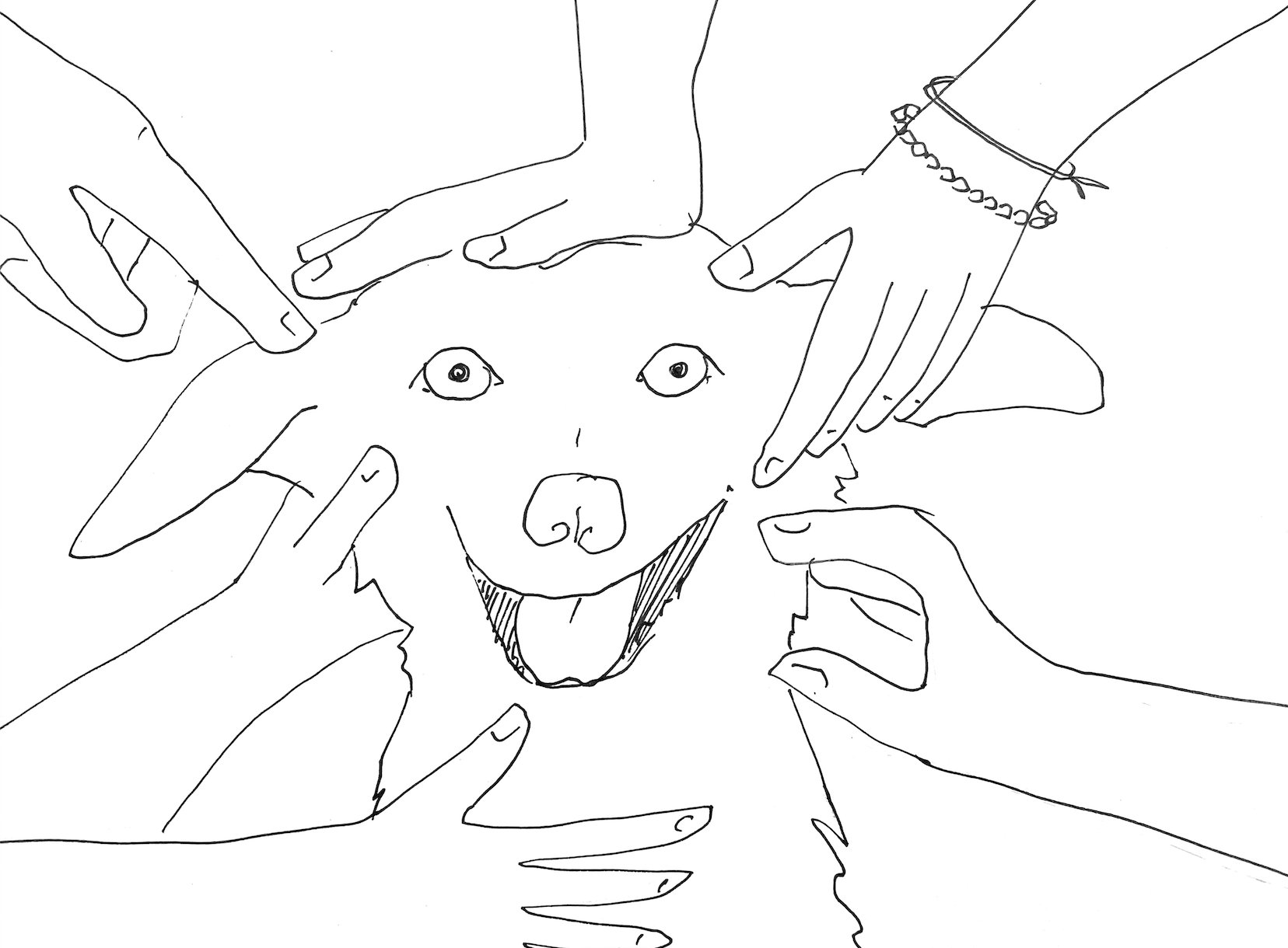 Cat And Dog Mating Drawing