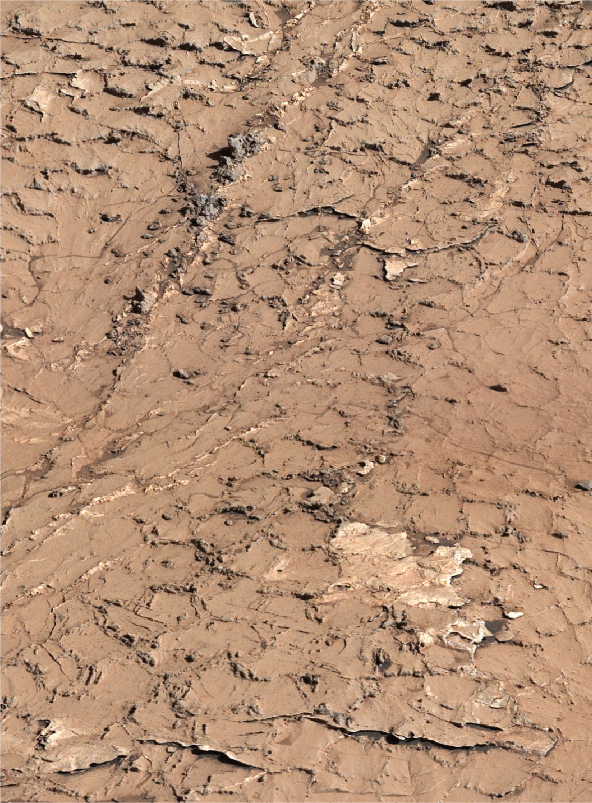 Bulletin Board Curiosity Mars Rover