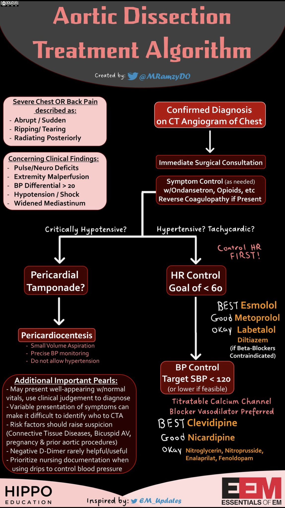 Pulse Diagnosis Pregnancy
