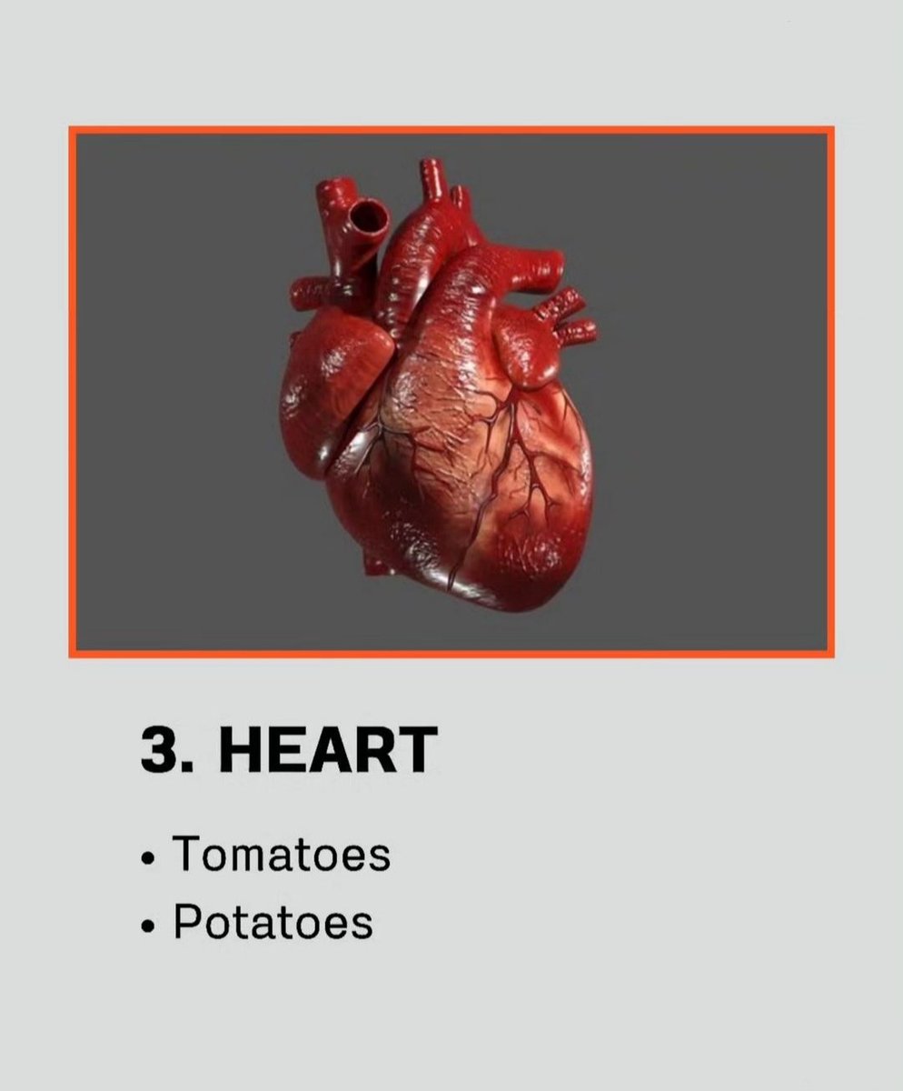 Here Are The Best Foods For Each Part of Your Body: - Thread from Seek ...