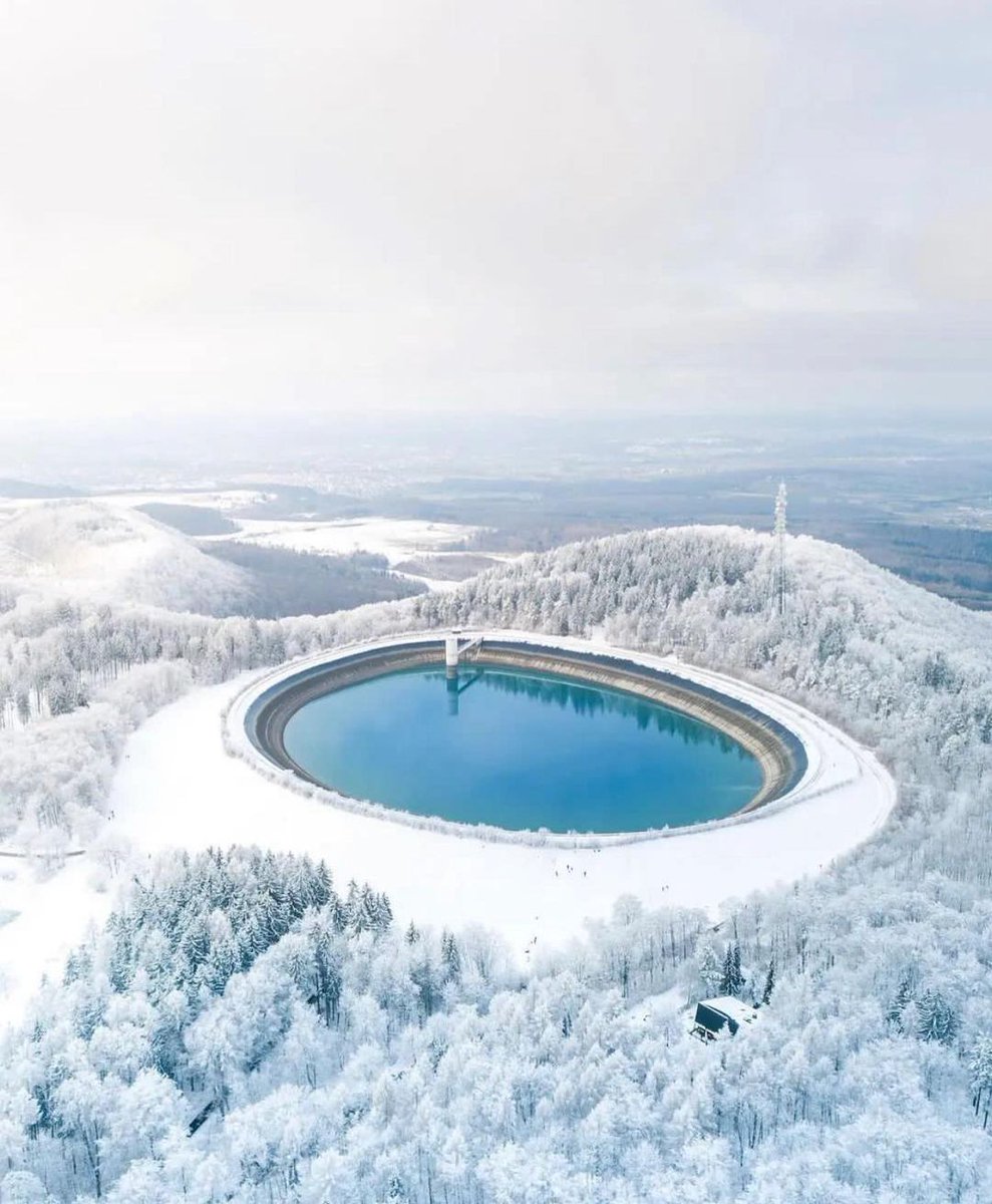 Vitalholis's Threads – Thread Reader App