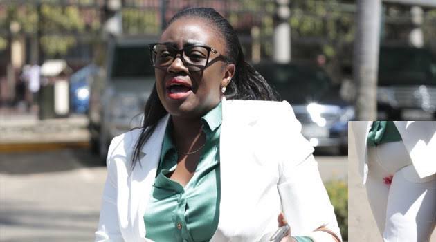 Nominated SENATOR Gloria Orwoba has been suspended for six months from the Senate for making ...