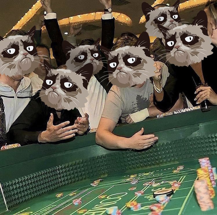 Grumpy Cat Playing Poker