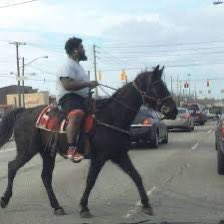 @davido Me sef dey ride horse come o and i i’m not going back. - Thread ...