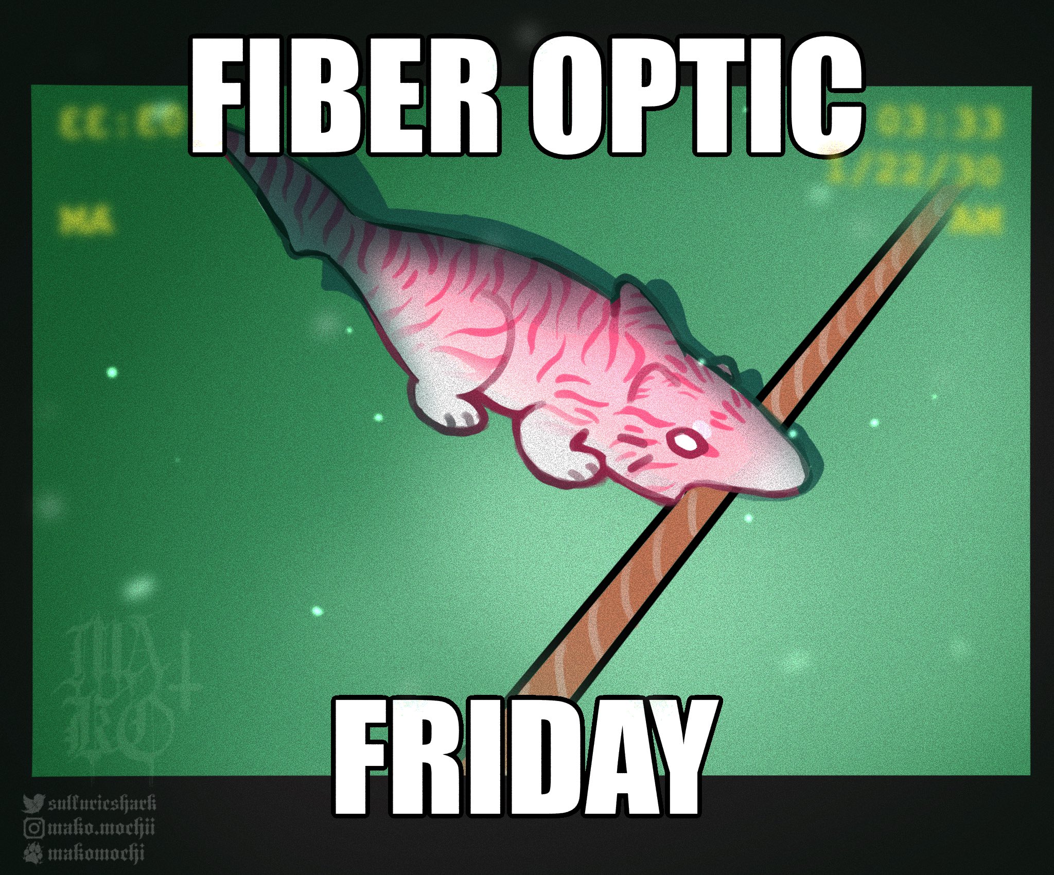 Fibre Memes Profile For The Afilikan Fibre