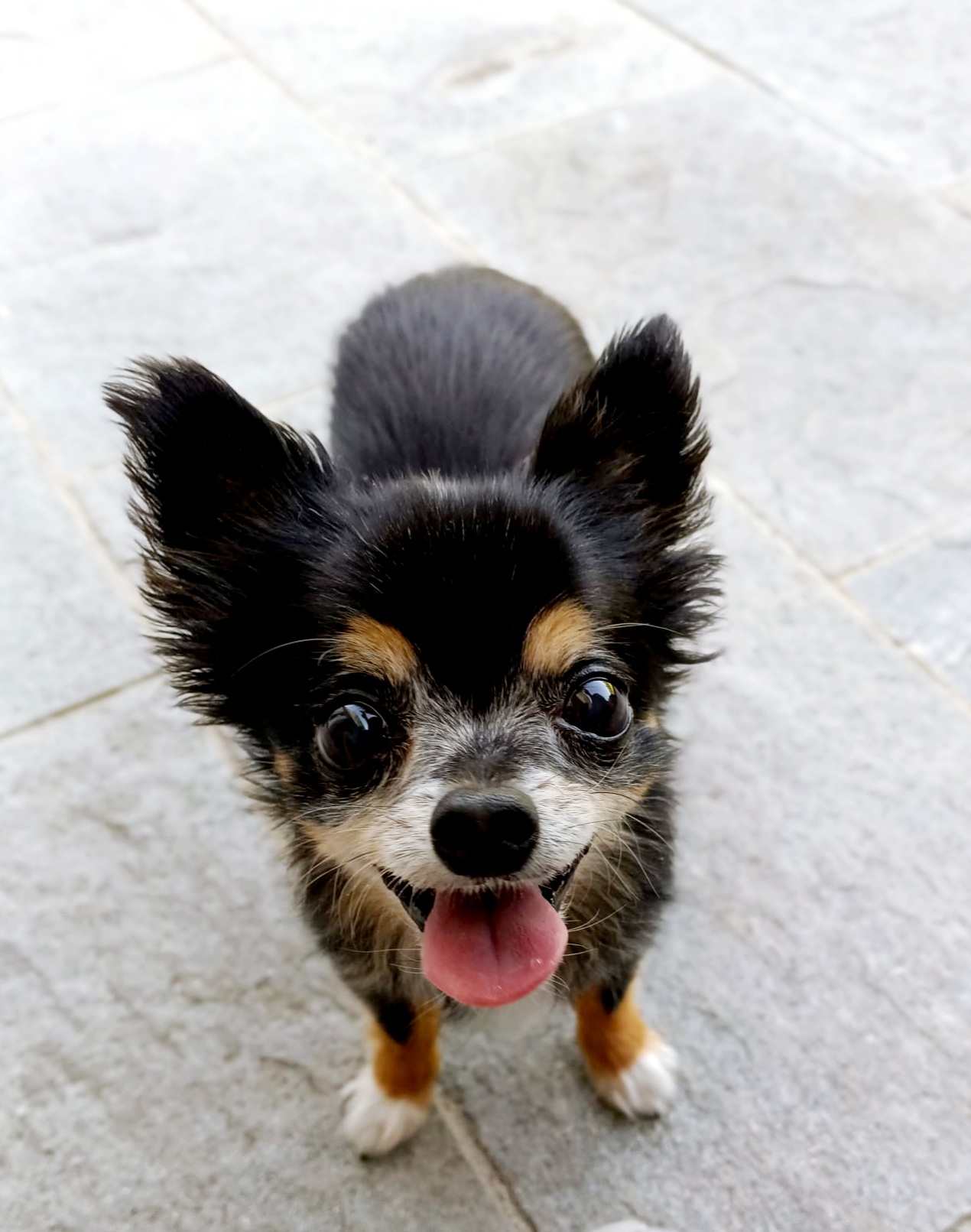 Weekend Is Almost Over