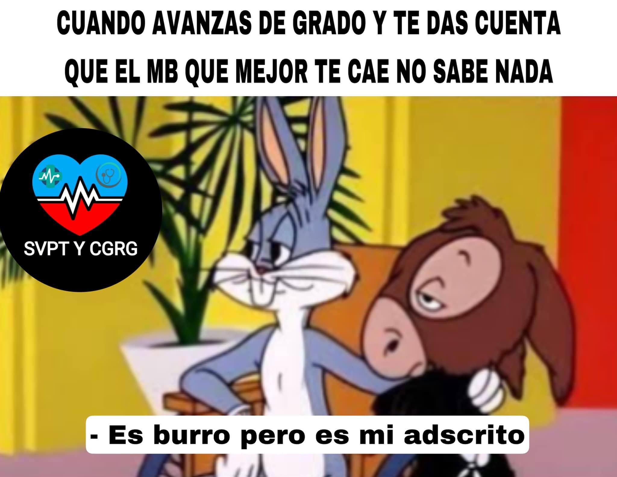 Memes Que Burro Burro GIFs | Tenor