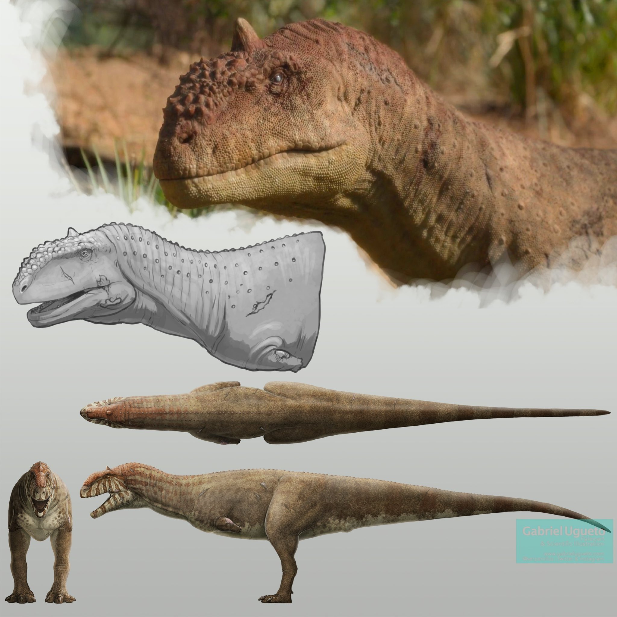 Planeta Dinossauro Saurophaganax