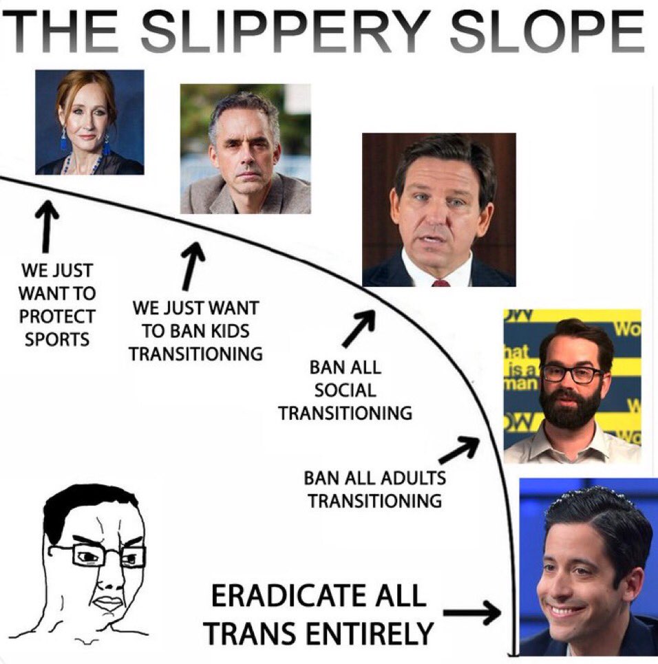 Slippery Slope Memes Logical Fallacies Meme Lesson Rhetorical