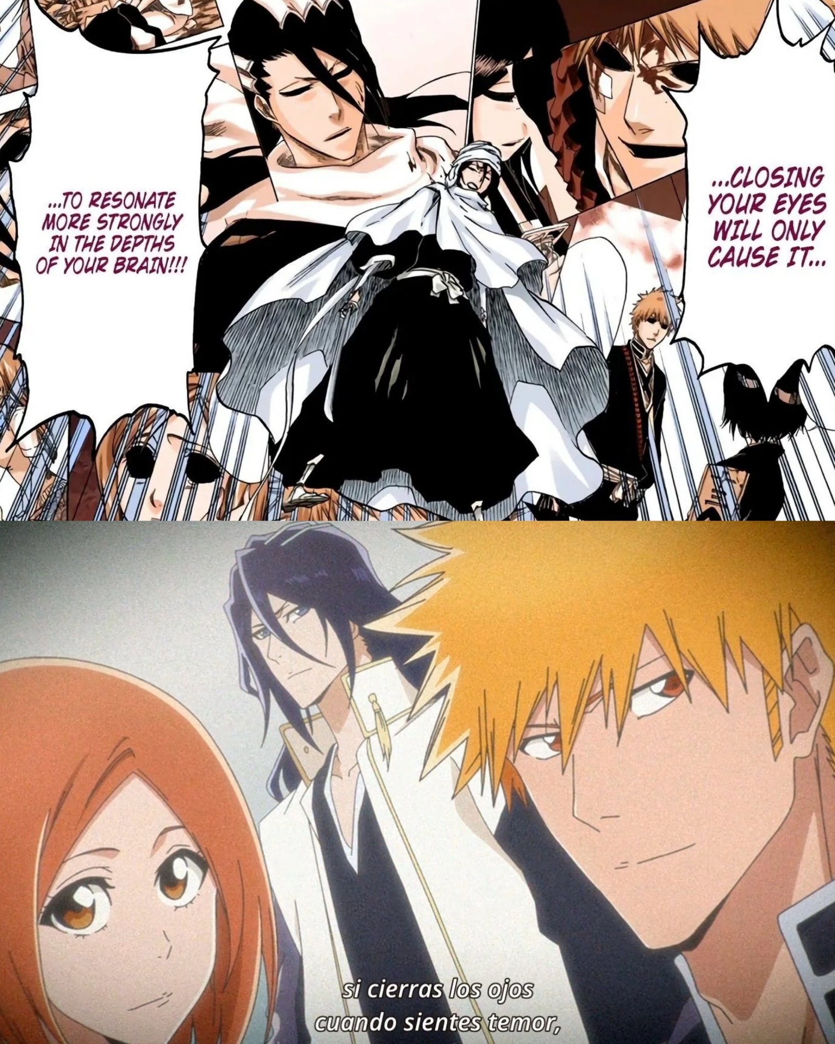 Ichigo And Rukia Together