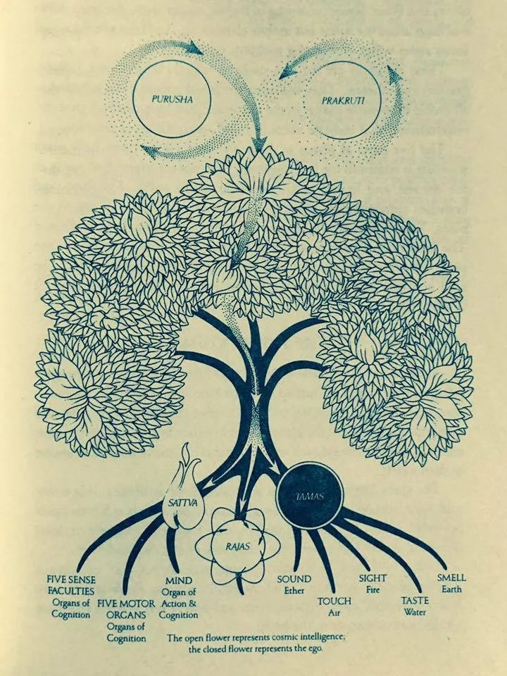 Part 4 (Darshan Shastra) Sankhya Darshan - The science of cause and ...