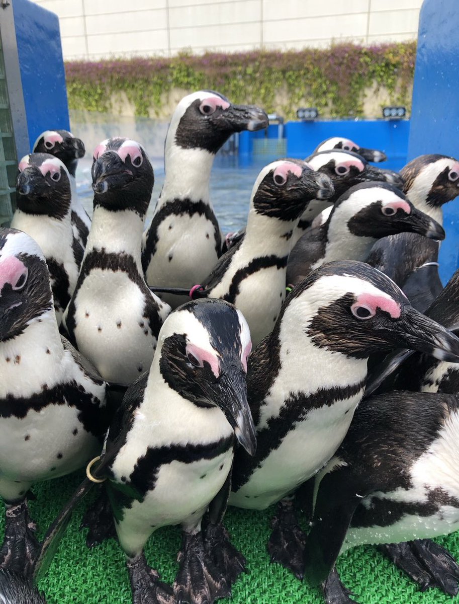 KISO@与太郎気味(@kiso_machine) - Twilog (ツイログ)