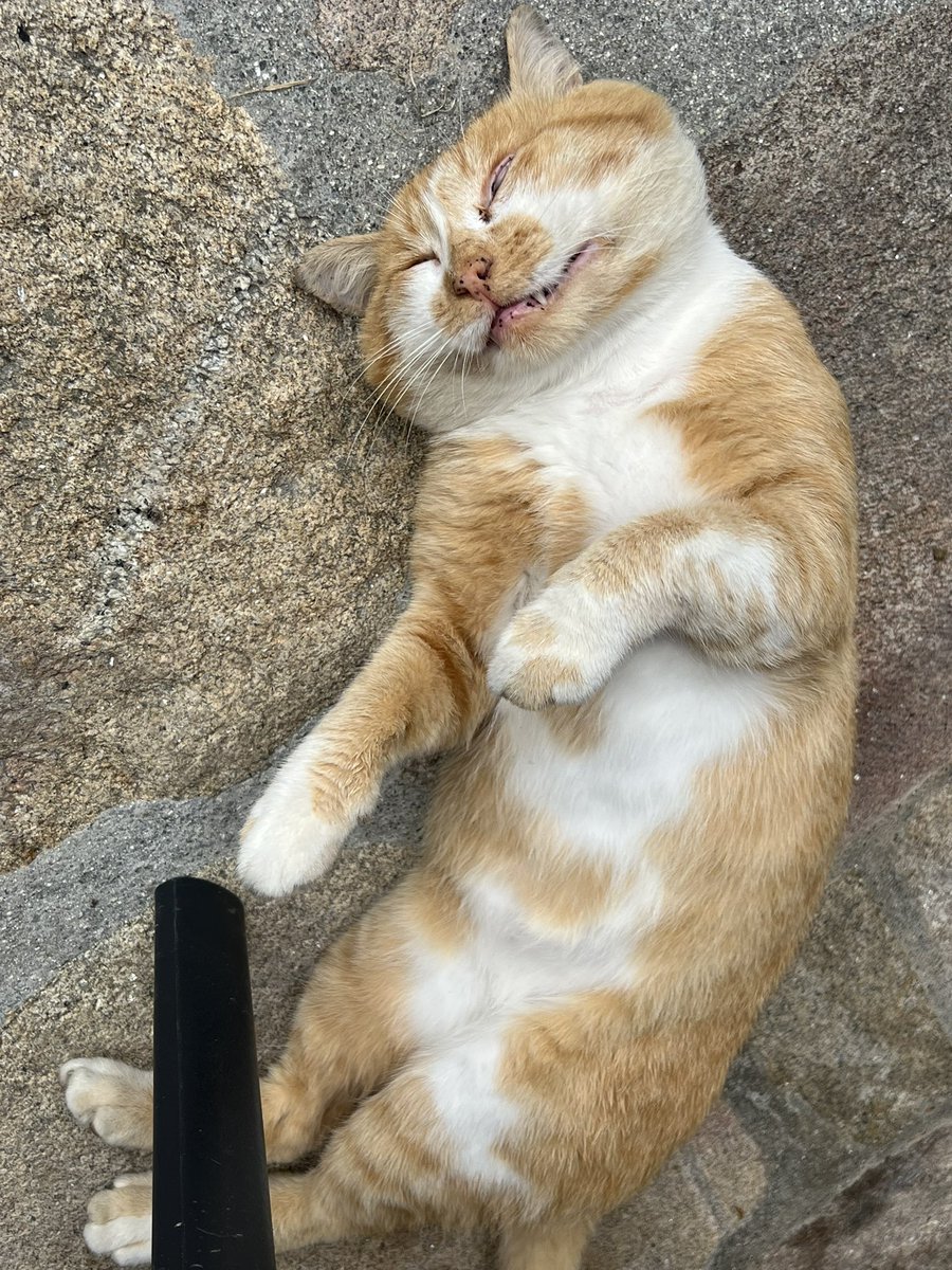 KISO@与太郎気味(@kiso_machine) - Twilog (ツイログ)