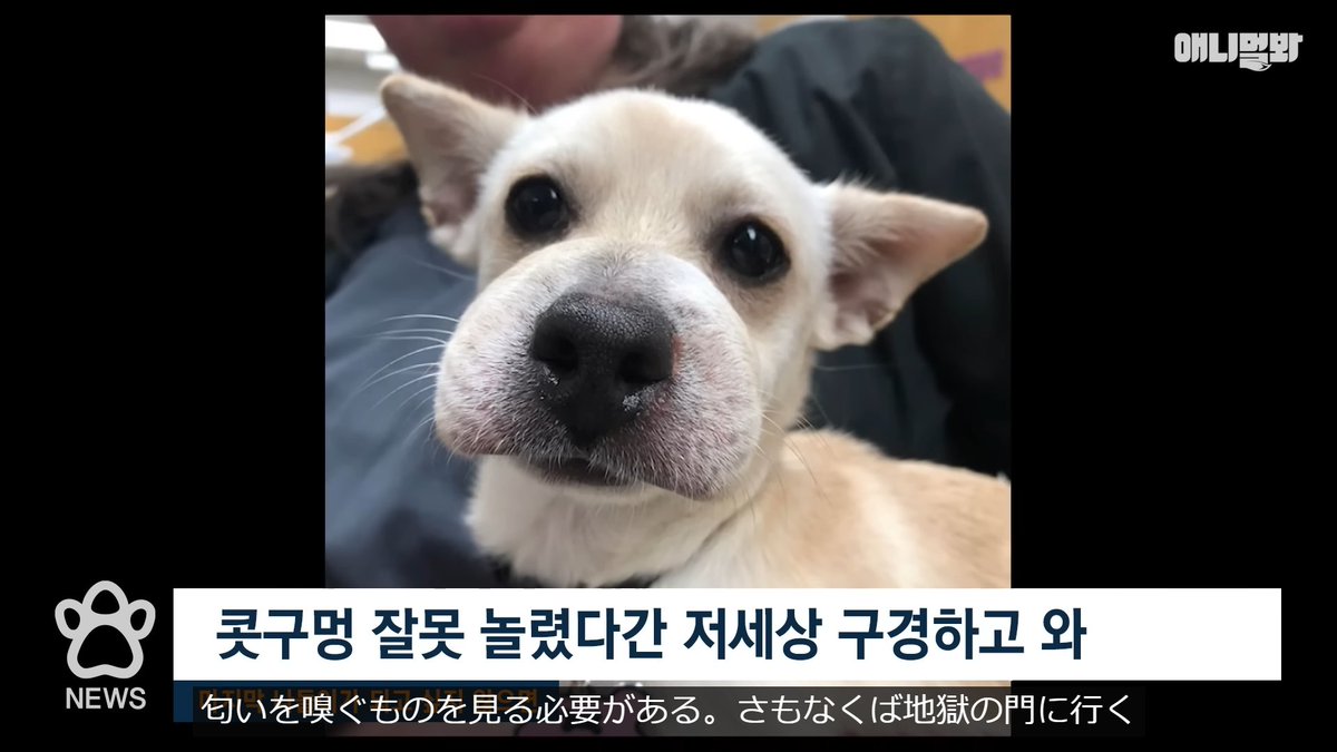 .iso/plant(@isoplant) - Twilog