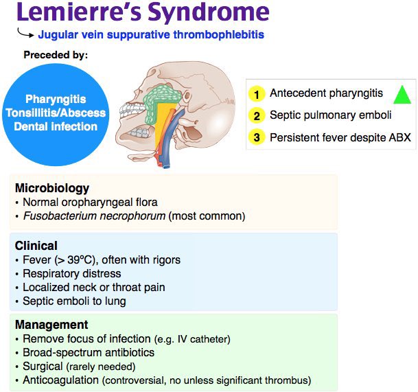 Rigor Syndrome