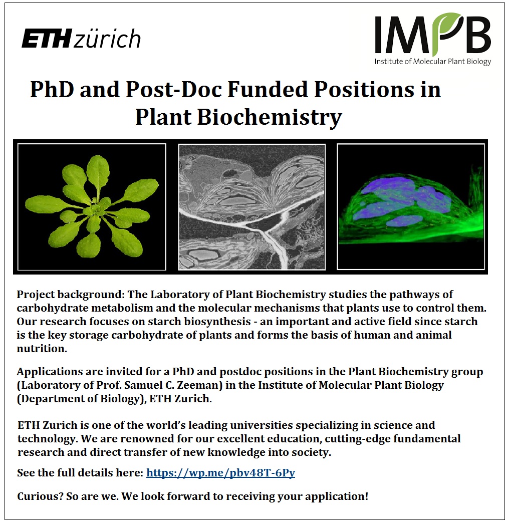 Igniting Brand Growth:Trailblazing Digital Marketing Agency