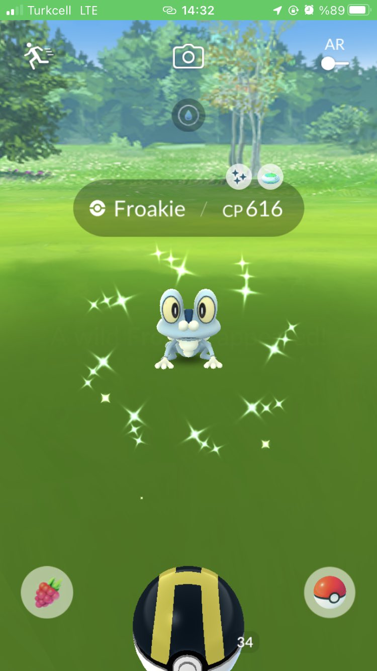 Shiny Froakie