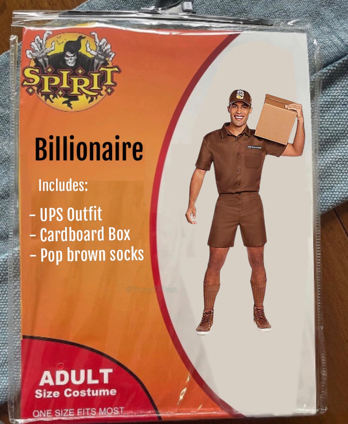 Ups Delivery Costume