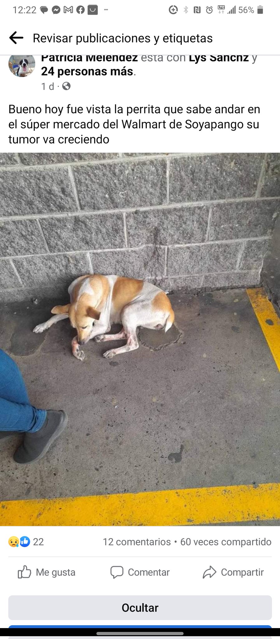 Memes De Soyapango Le Salvador Sous L'emprise Du « Système Bukele