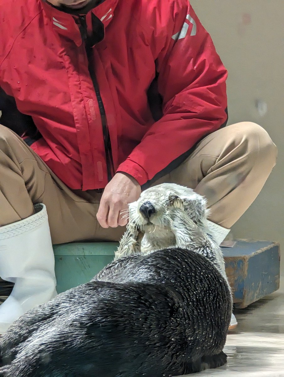 KISO@与太郎気味(@kiso_machine) - Twilog (ツイログ)