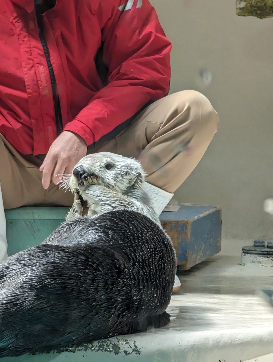 KISO@与太郎気味(@kiso_machine) - Twilog (ツイログ)