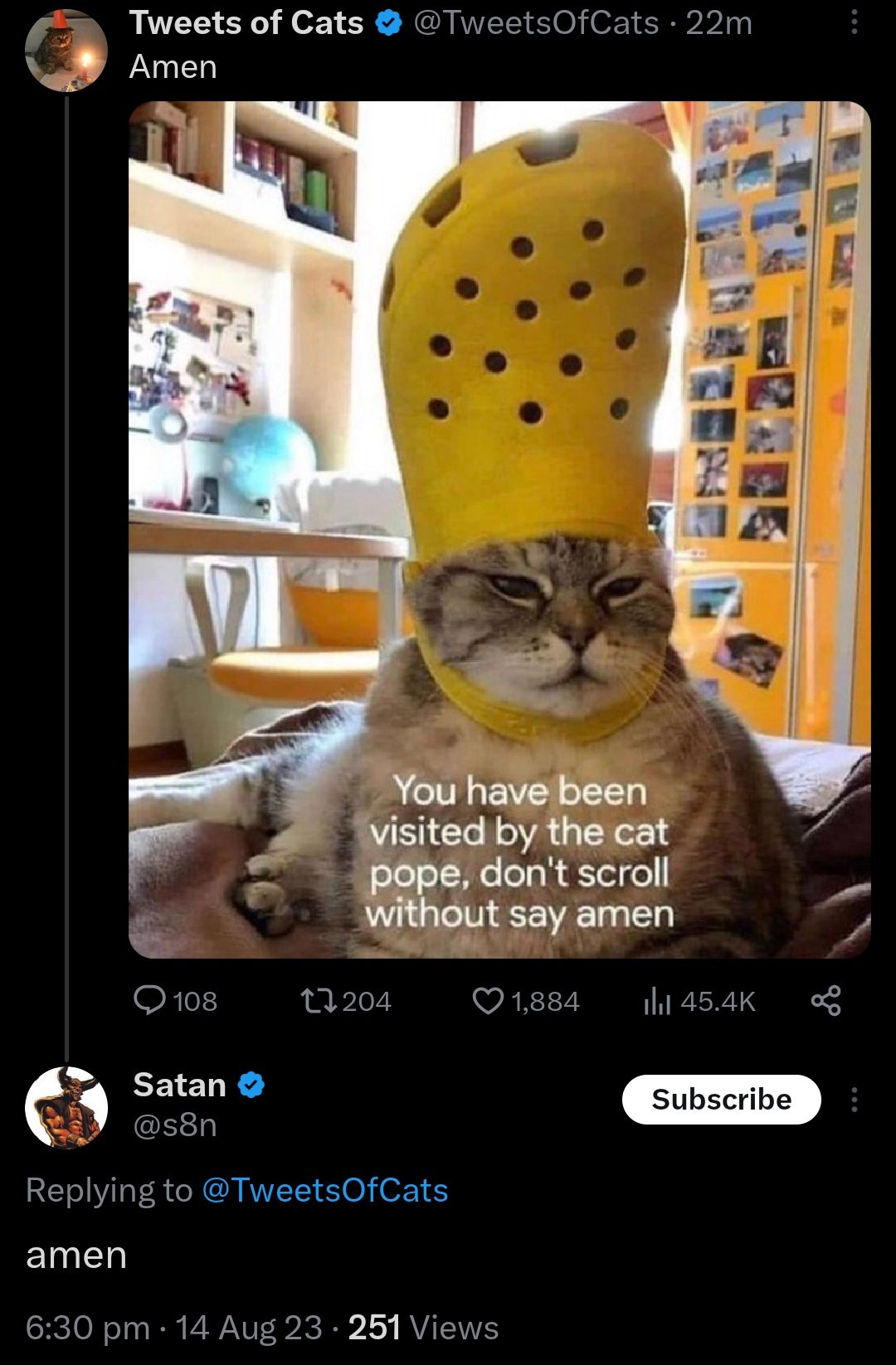 Amen Cat