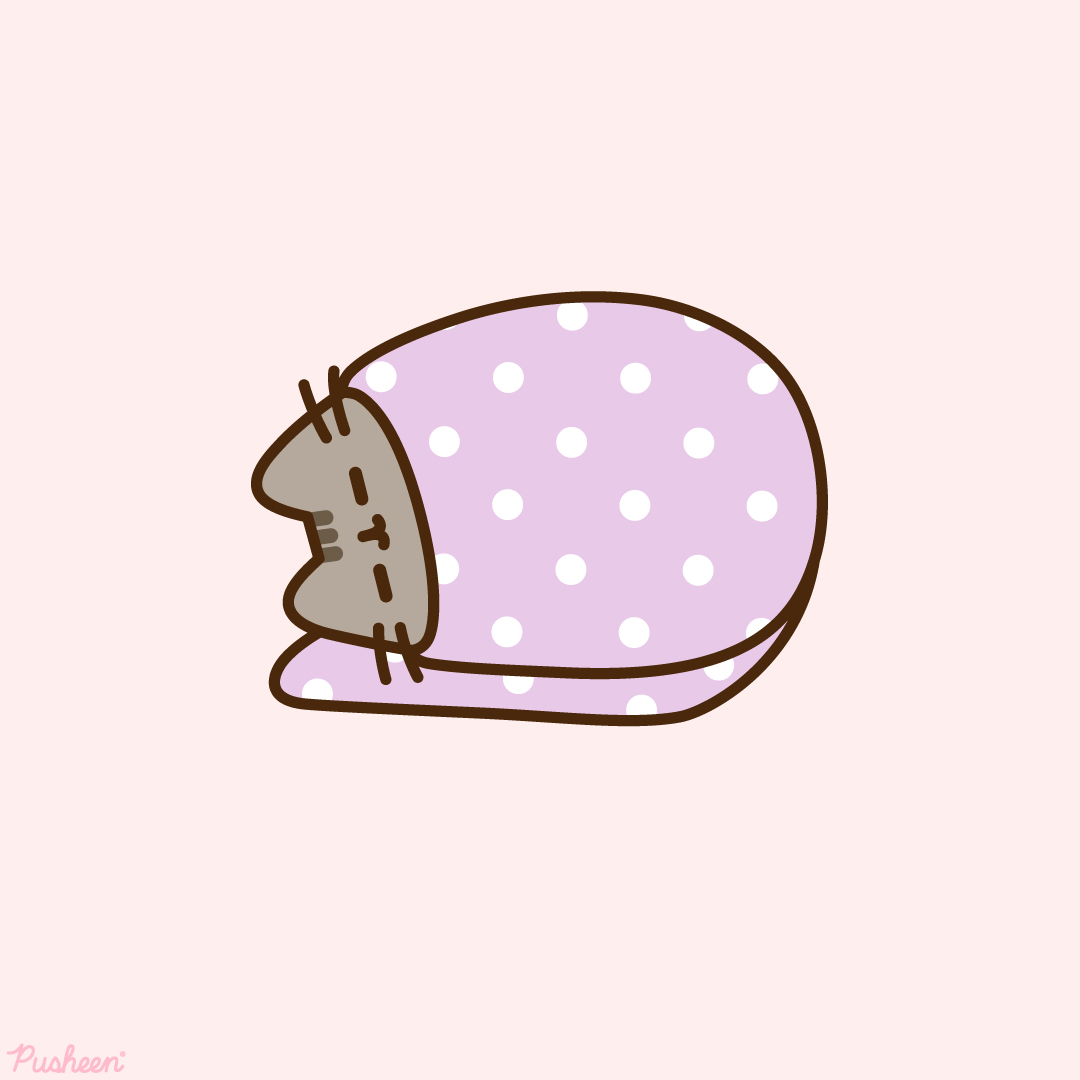 Pusheen The Cat Sleep