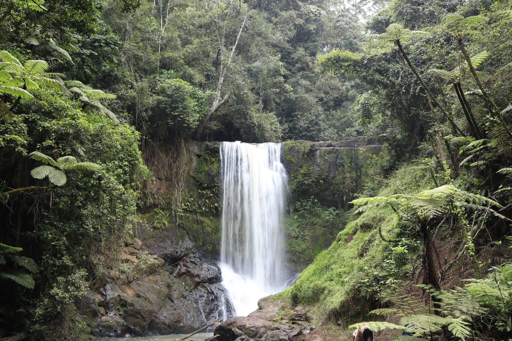 Magical Waterfall Quotes