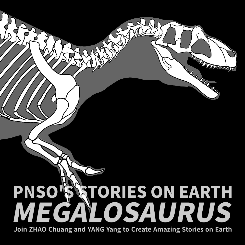 Megalosaurus Skeleton