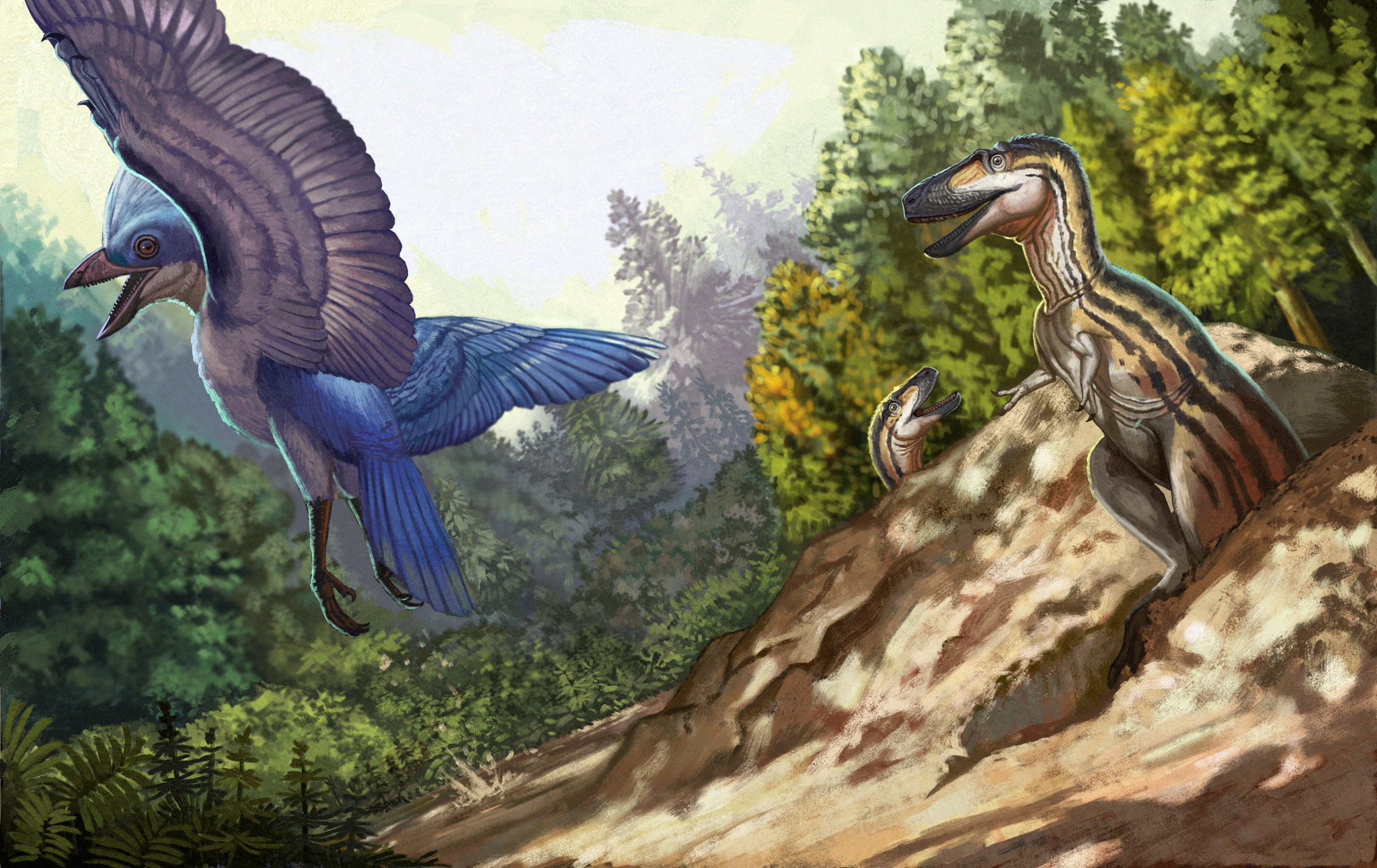 Some species that have never been suggested New species! - Page 24 ...