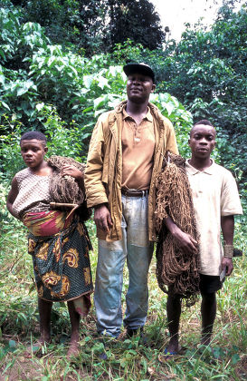 PYGMY MASTER RACE THEORY Pygmies. Funny little chaps who couldn't keep ...