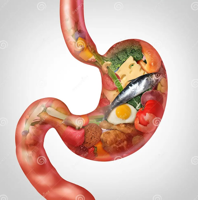 Poor digestion and irregular bowel movements may seem like minor ...